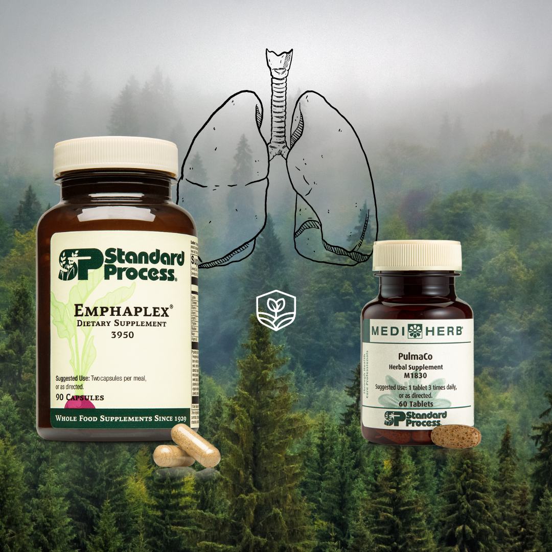 Smoke & Ash Protocol